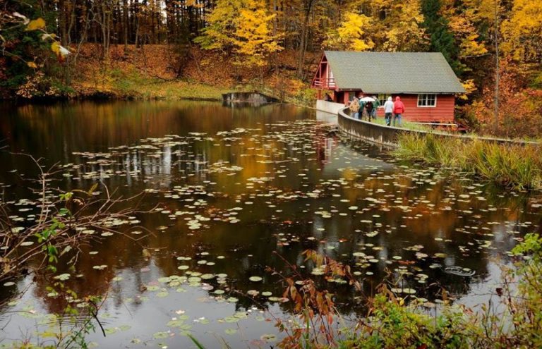 Service Project at Camp Crowell Hilaka | Richfield Heritage Preserve ...